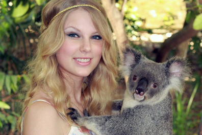 Australian animal encounters: Why this iconic Aussie tourist activity ...