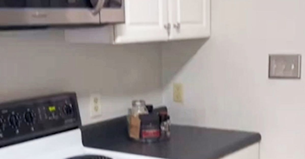 Cleaning tips: Hidden kitchen spot is a little-known grease trap with ...