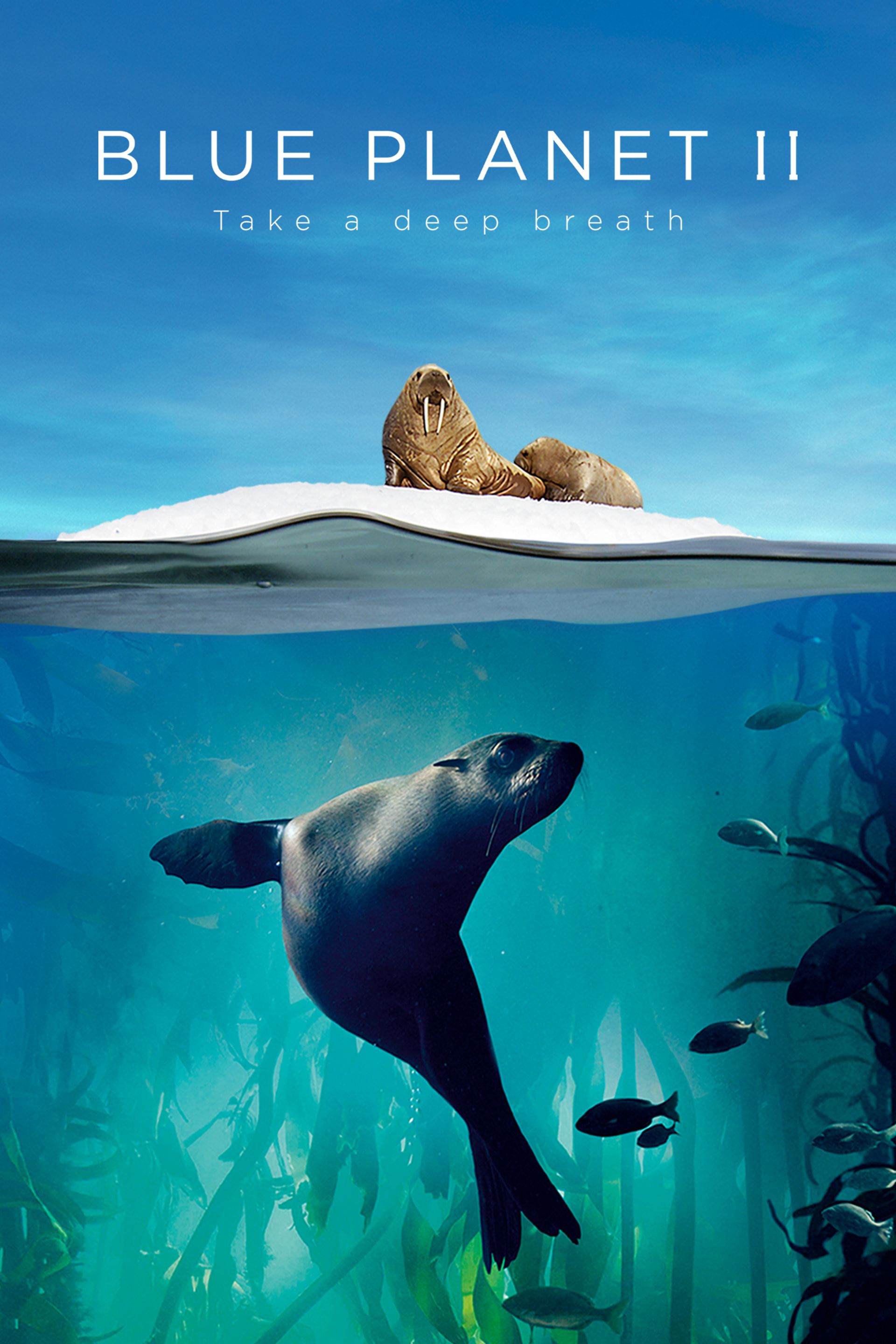 9Now | Stream Channel 9 live and on demand for free