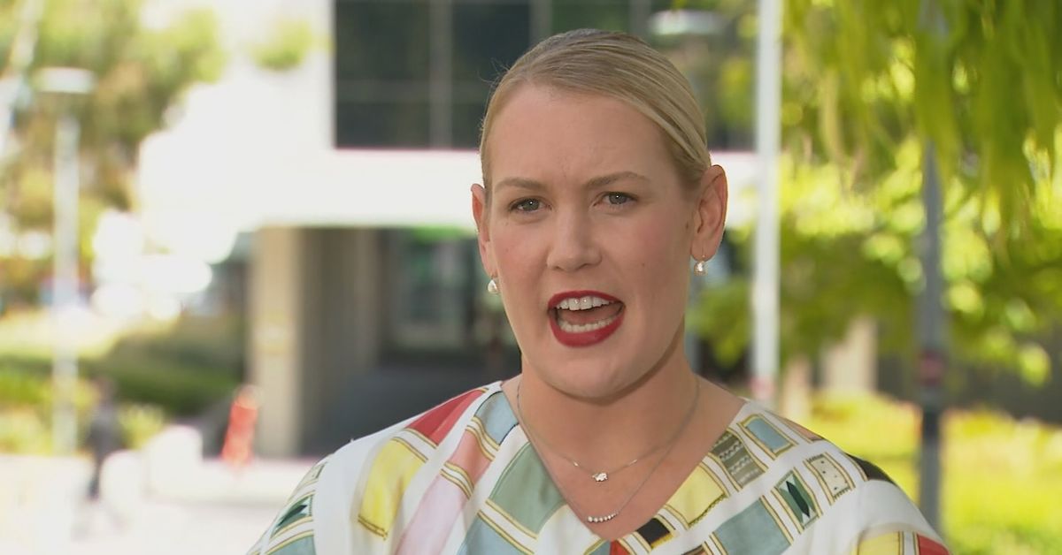 South Australian opposition under fire for 'dump and run' ramping claim