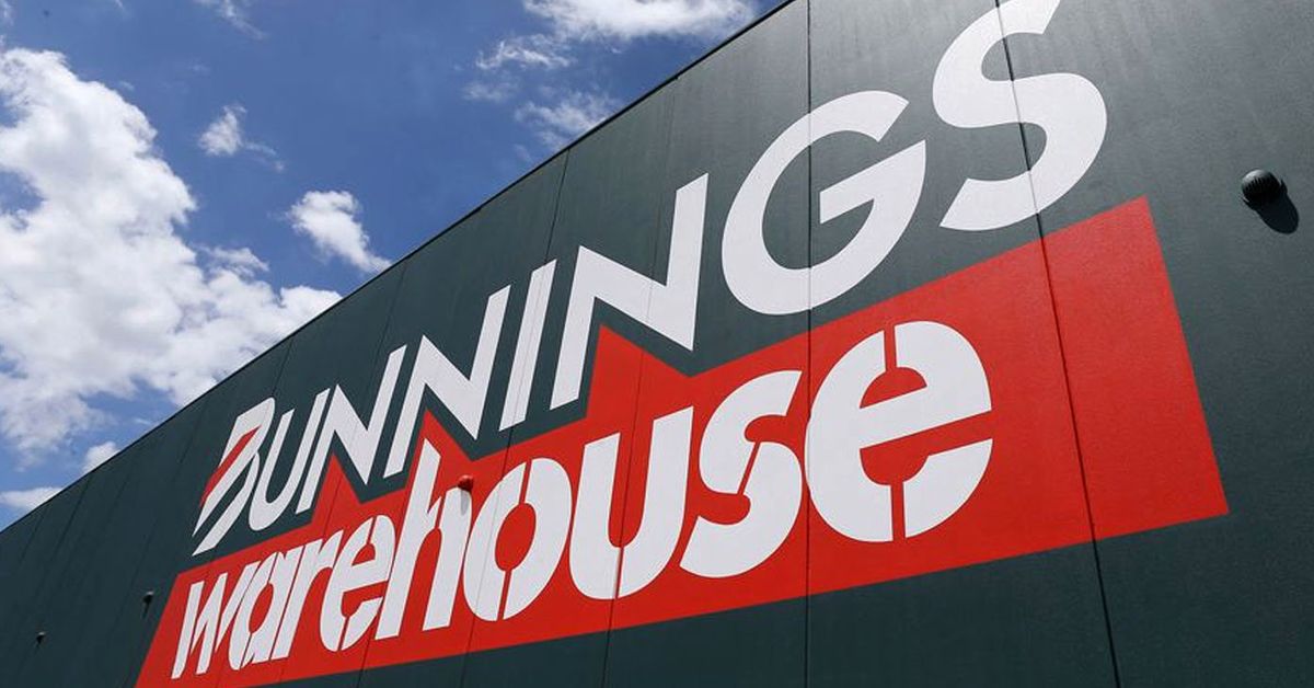 Bunnings finds: The $1 version of Bunnings most iconic product is ...