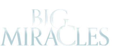 Watch Big Miracles Season 3, Catch Up TV