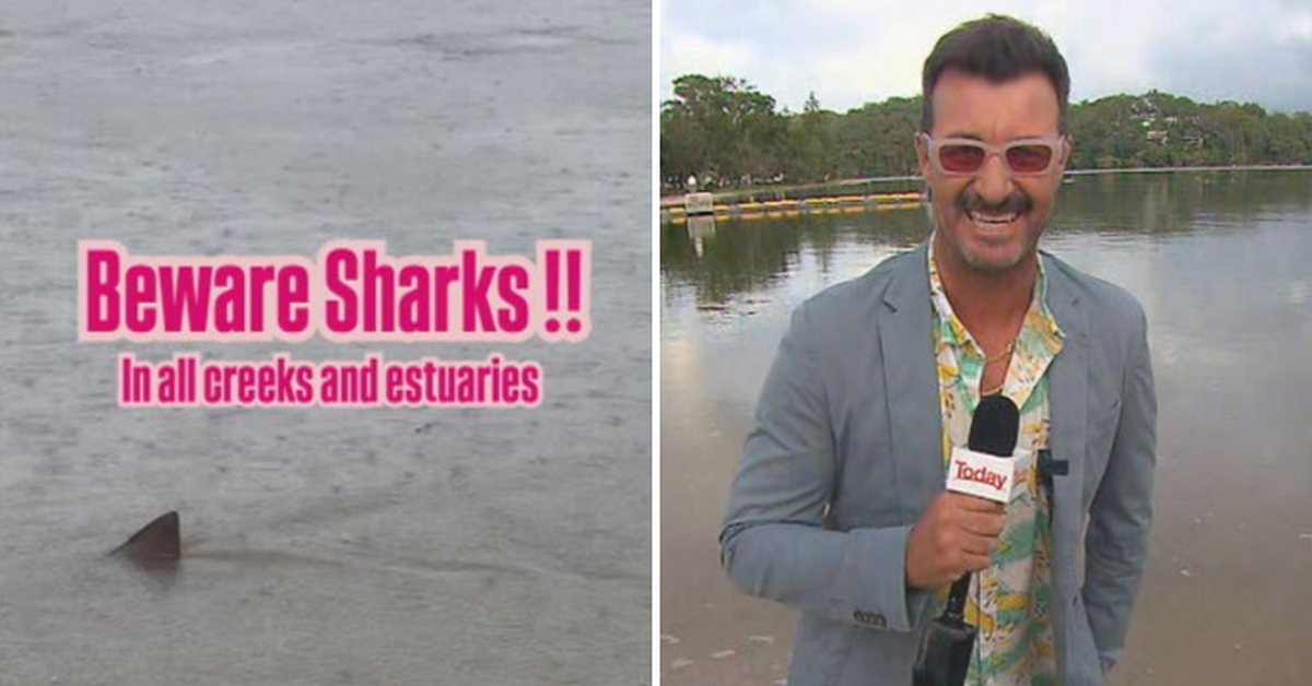Queensland wild weather: Shark spotted in Gold Coast canals