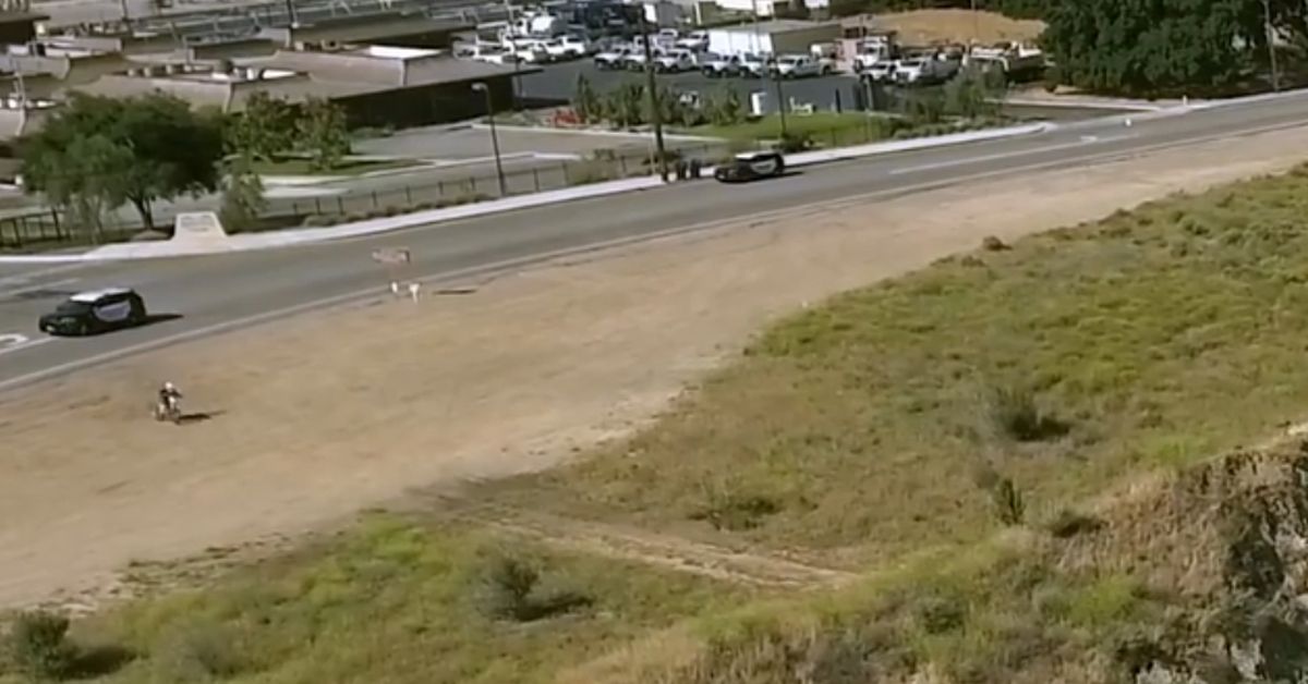 Motocross rider evades police cars to clear massive jump over train ...