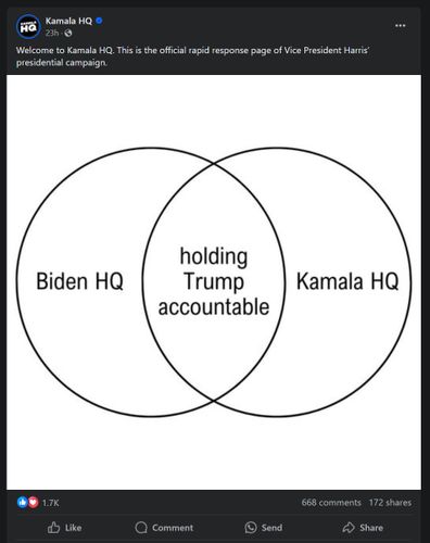 Kamala Harris coconut tree meme: How a coconut tree meme became linked ...