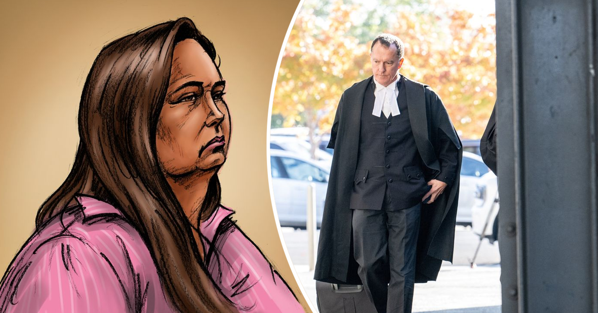 Erin Patterson trial updates: Defence slams 'absurd' ex-husband, plate ...