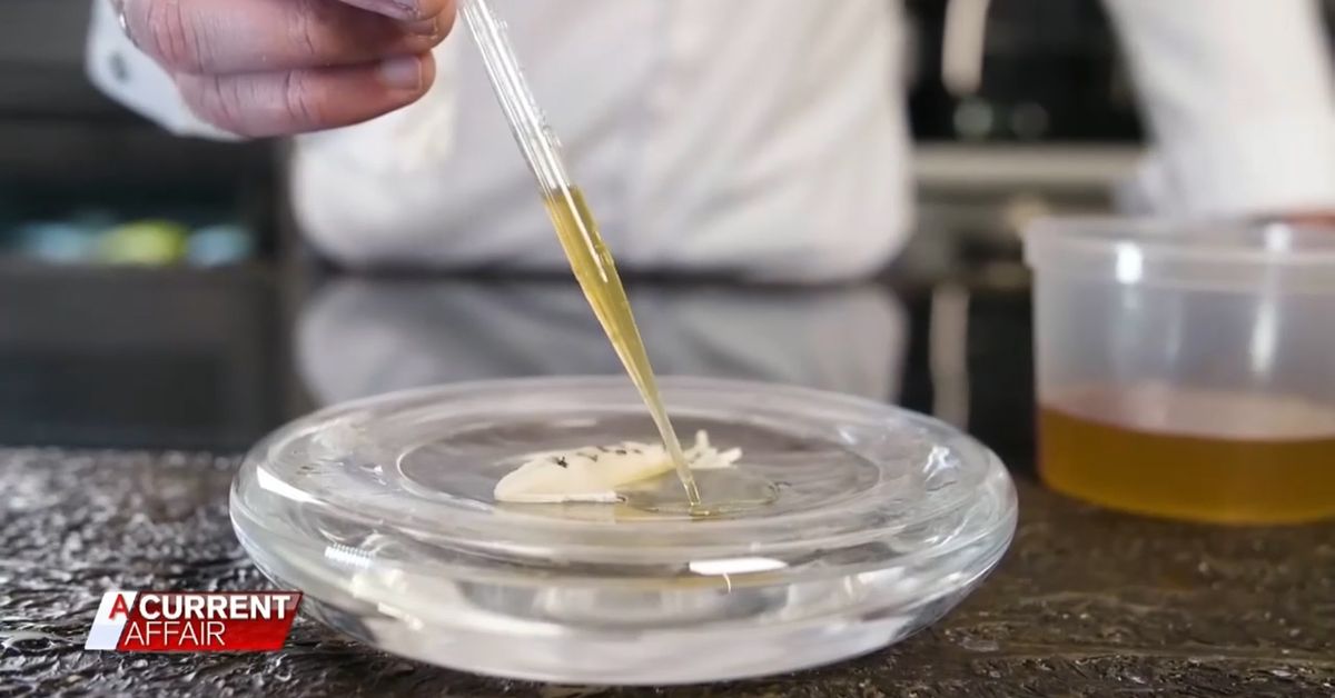 KFC making lab-grown chicken in Russia – pros and cons of new nuggets