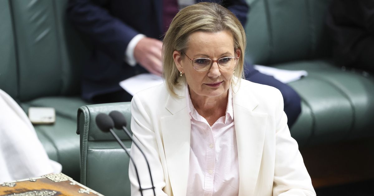 Deborah Knight: Sussan Ley's attack on PM for his T-shirt smacks of ...