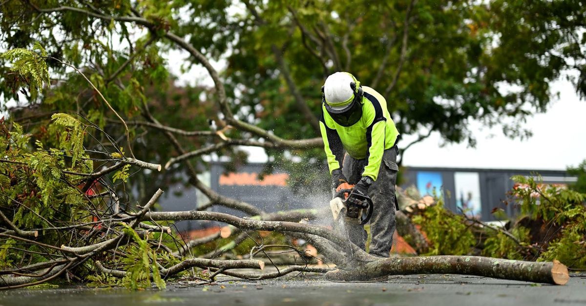 Ex-Tropical Cyclone Alfred update: Insurers flooded with claims as ...