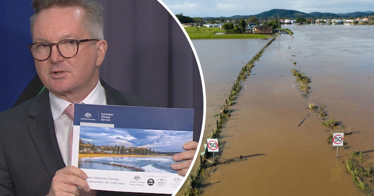 Climate change: Heatwave deaths to skyrocket and 1.5 million ...