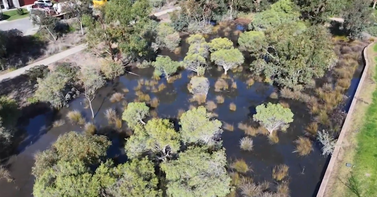 Perth sewage spill: Spearwood burst pipe repairs delayed days after ...