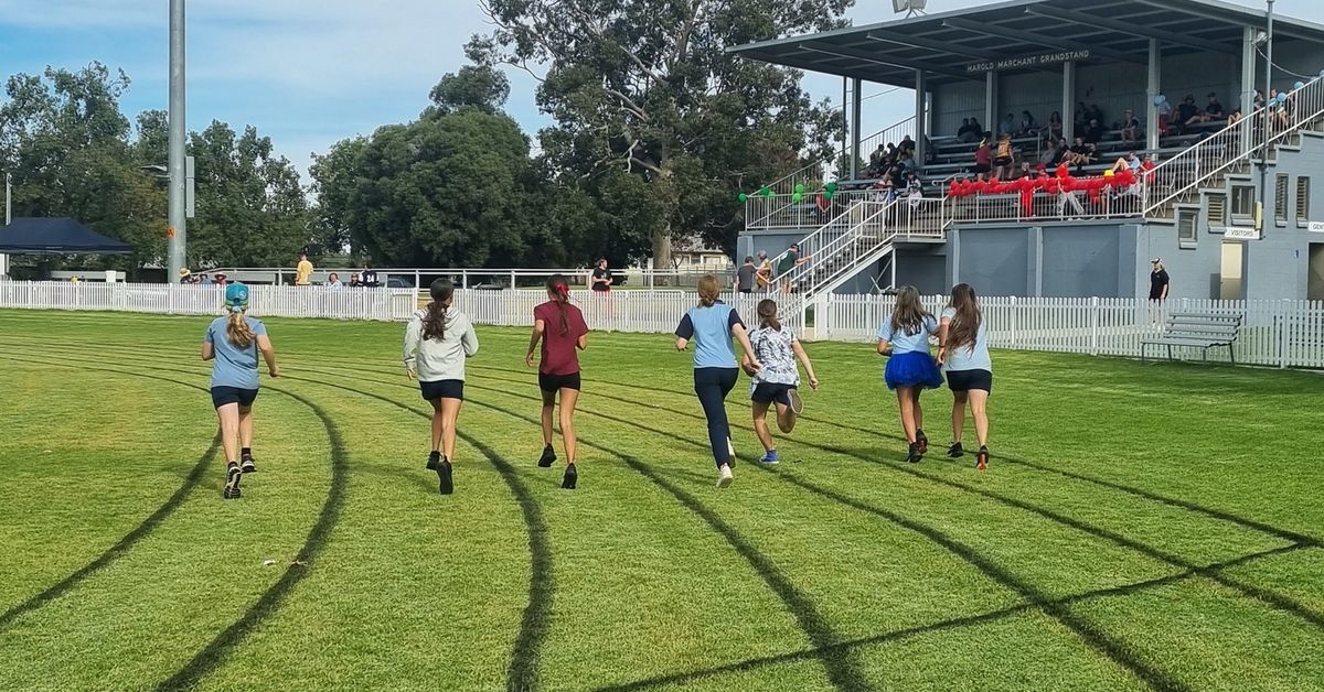 Gilgandra High School: NSW high school providing professionally fitted ...