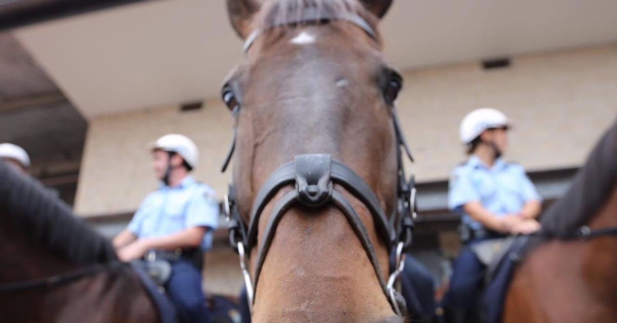 World's oldest mounted police unit celebrates 200 years