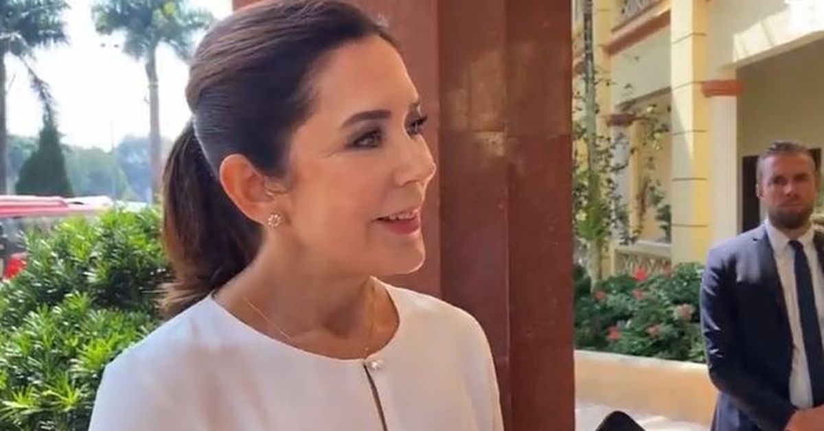 Princess Mary's blunt response to question about Danish royal family ...