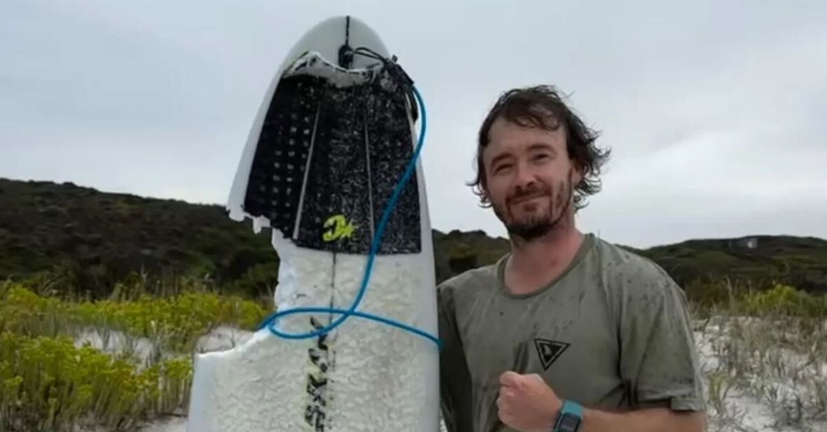 Shark attack WA updates: 'Bit into the board': WA surfer fights off shark