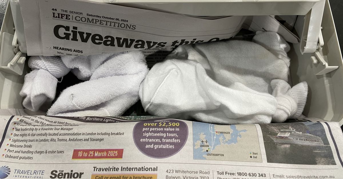 'Cruel and inhumane': Reptile smuggler sentenced after hiding lizards ...