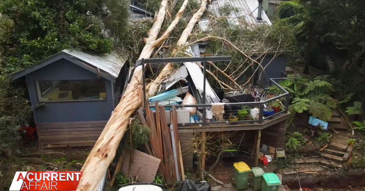 Victorian storm victims speak out over building delays and red tape