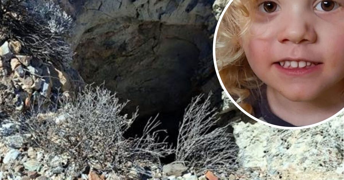 Gus Lamont missing update: Detectives fail to uncover any evidence of ...