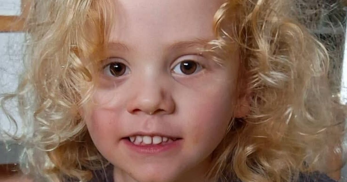 Gus Lamont update: Search for missing boy comes to an end with no new ...