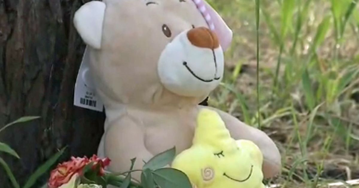 Tane Saul Desatge court: Tane Saul Desatge found guilty of torturing ...