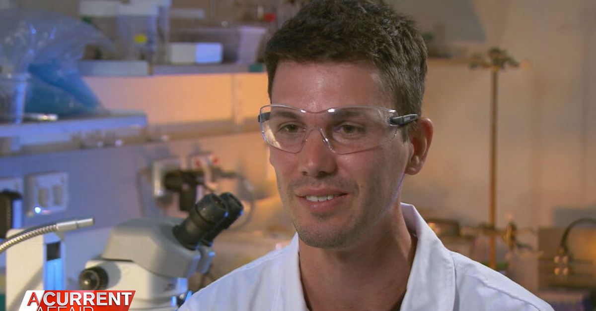 A Queensland scientist has been stung by 200 different creatures