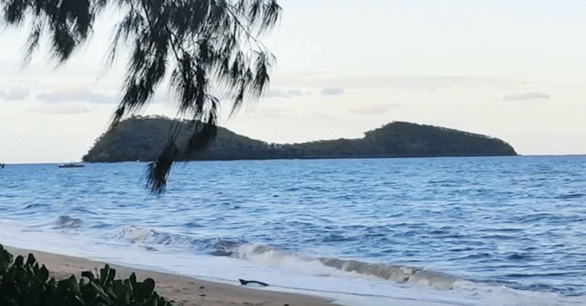 Queensland news: Plan to turn abandoned Great Barrier Reef island ...