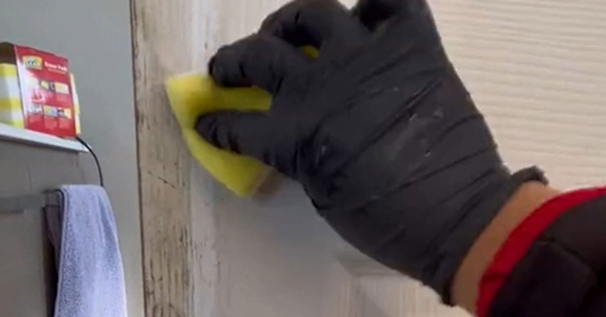 Cleaning hacks: The $8 Bunnings hack a professional cleaner swears by ...