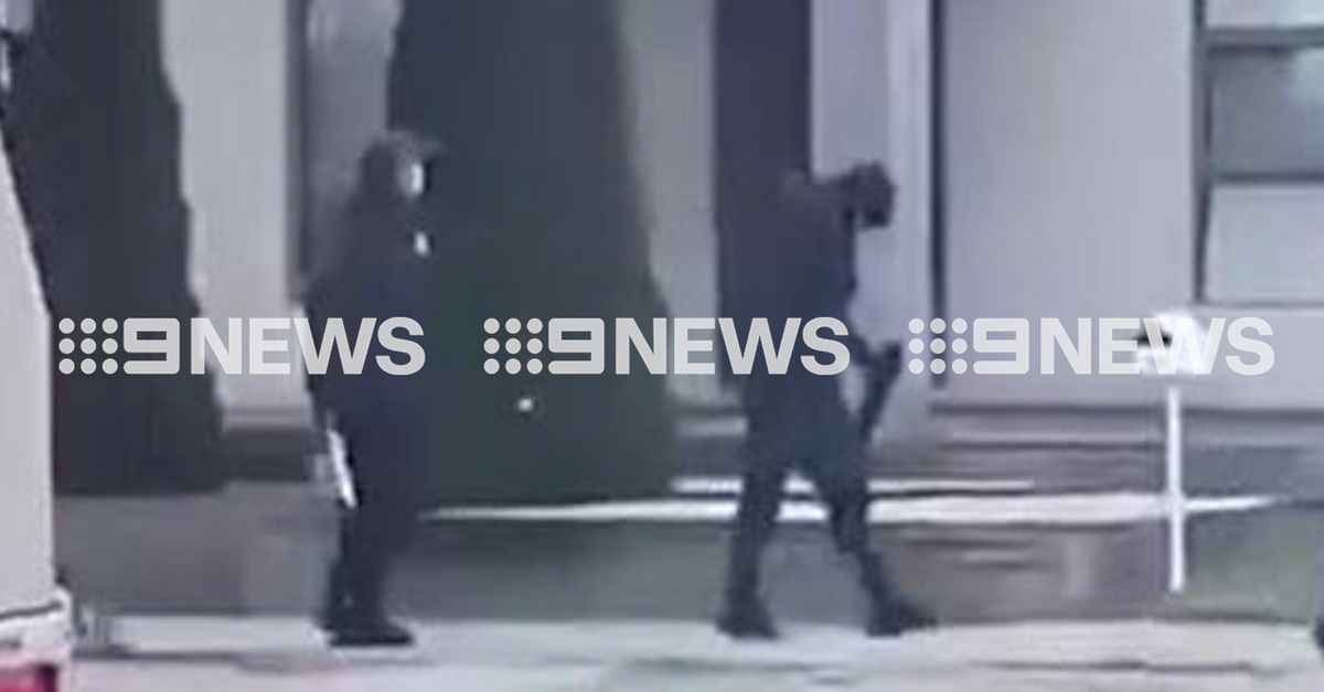 Fraser Rise: Teenager allegedly stabbed by group with machetes near ...