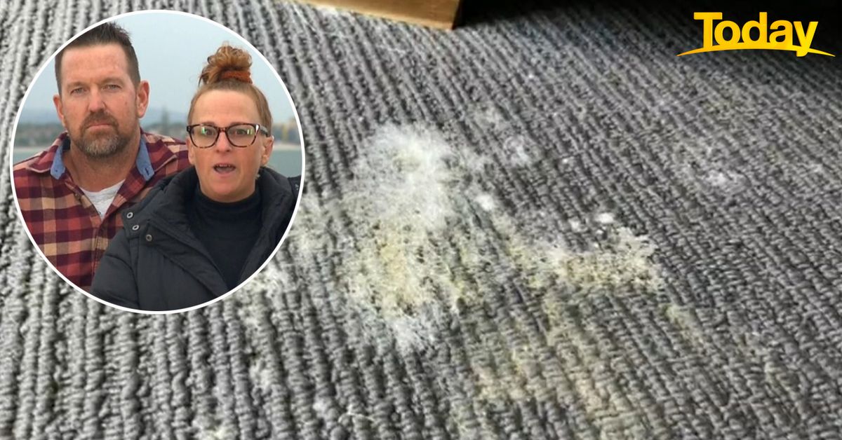 Wet weather mould: Gold Coast family forced out of rental they're still ...