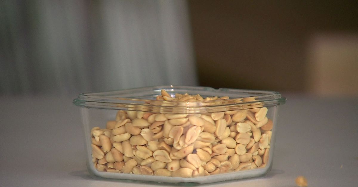 Medical trial could protect against severe peanut allergies