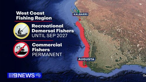 WA demersal fishing ban: 'Biggest reset' in history to save pink ...