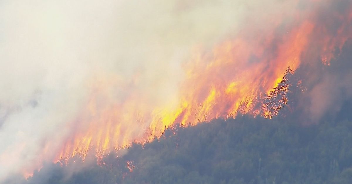 Moreton Island bushfire downgraded after firefighters battle blaze ...