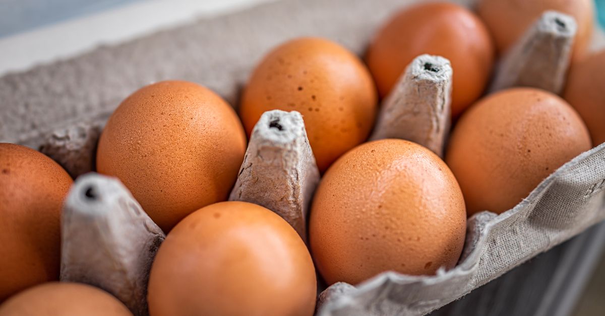 Queensland retiree threatened with $200,000 fine for backyard egg business