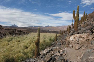 The Atacama Desert, South America's best kept secret - 9Travel