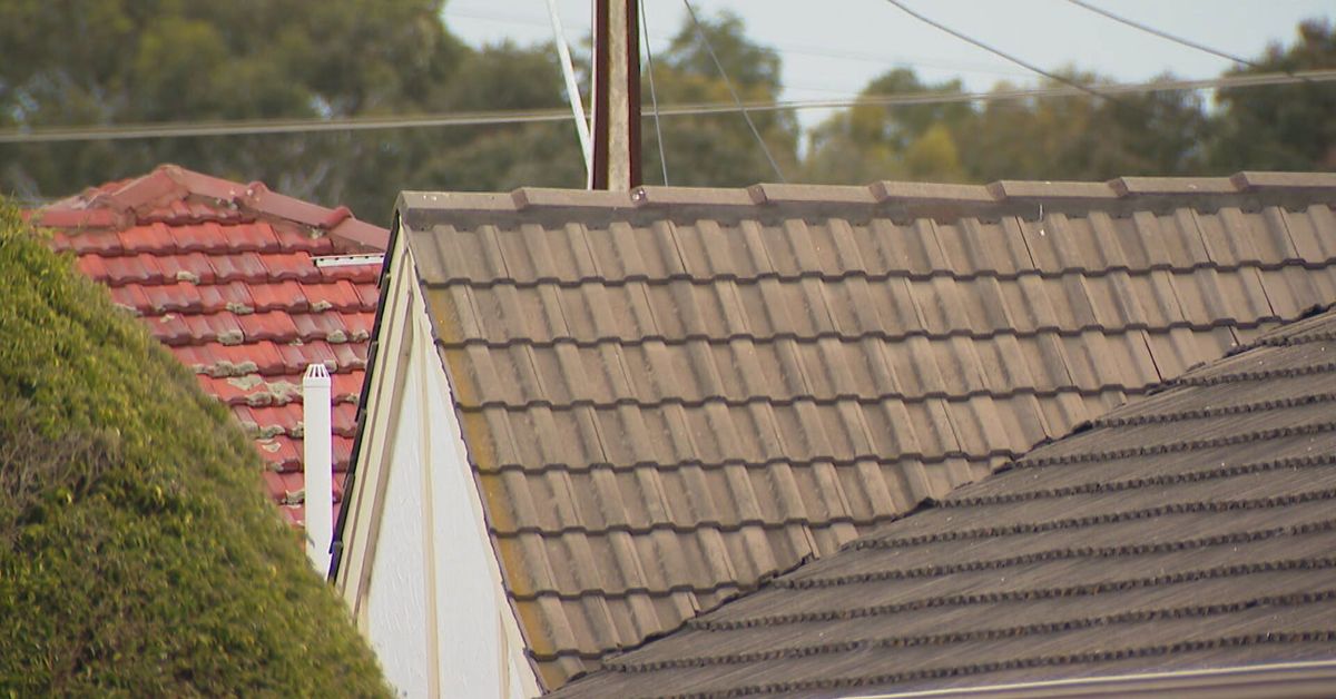 Optus: Woman desperately tried to call Triple Zero to save her own life ...