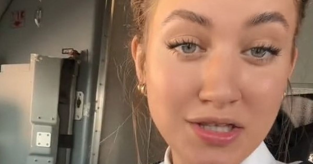 Pilot reveals planes have a secret window in the cockpit that opens ...