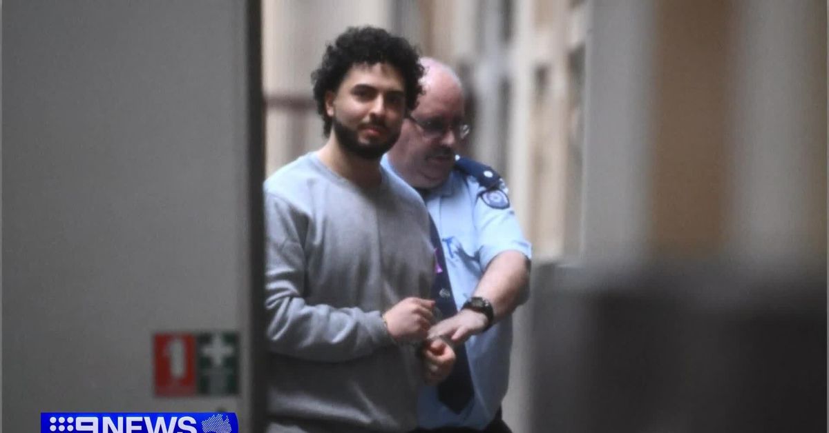 Aran Sherani: Convicted terrorist jailed for eight years over pledge of ...