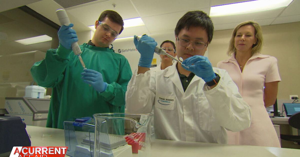 A Current Affair: New BCAL Diagnostics blood test could help detect ...