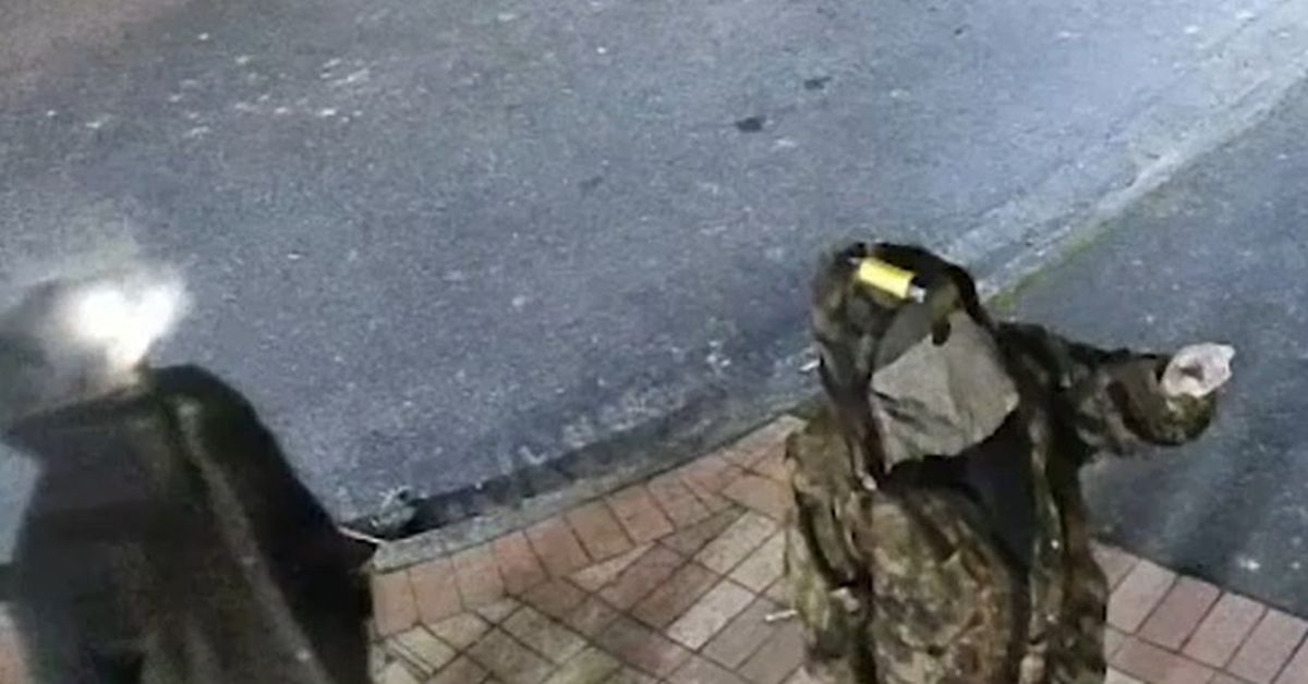 Tom Phillips: New Zealand fugitive shot dead by police after attempted ...