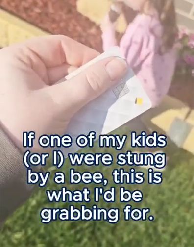 How to treat a bee sting: Why a credit card can help you get the ...