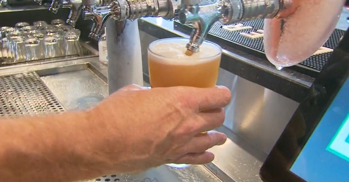 'Common sense': Prime Minister Anthony Albanese freezes beer tax for ...