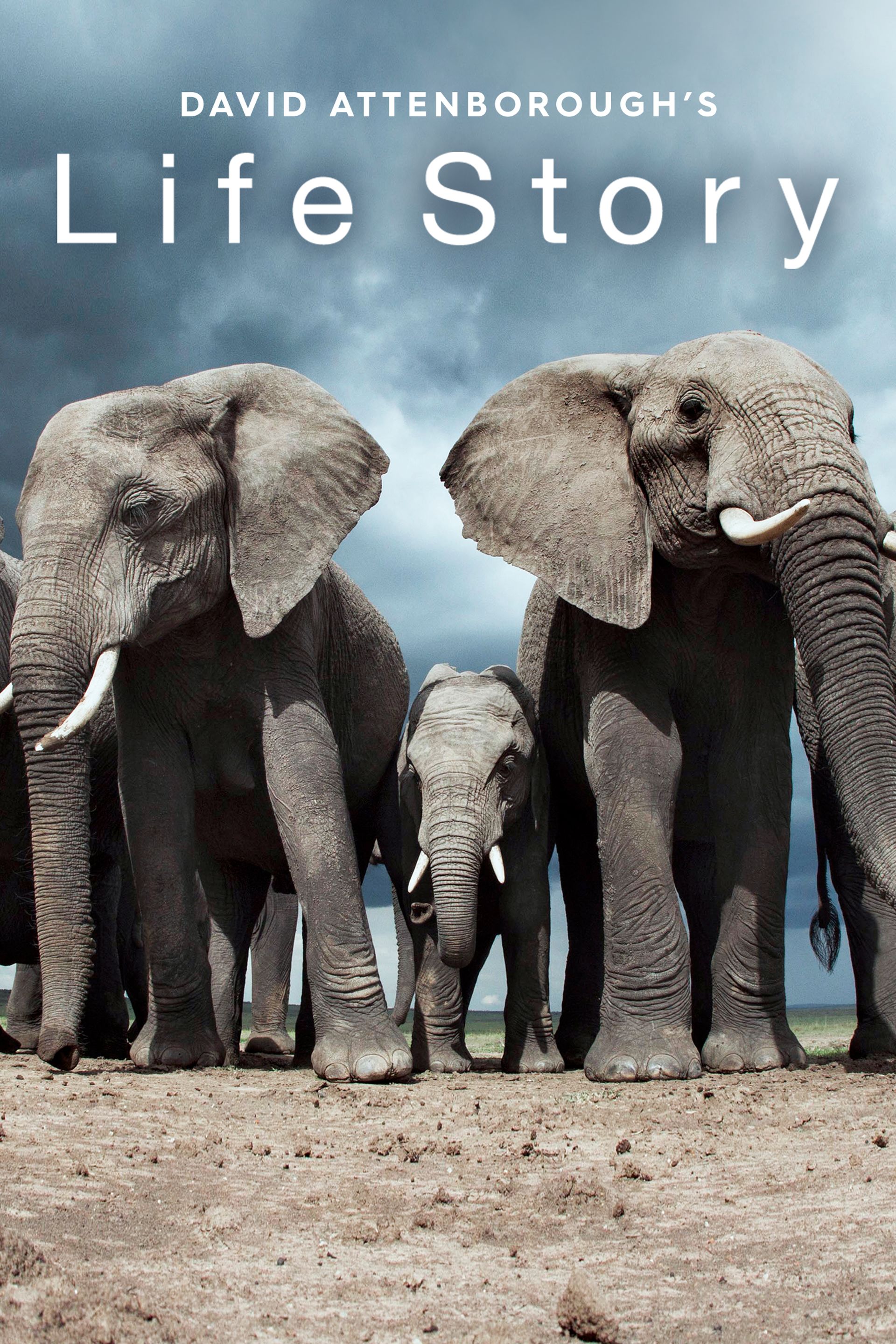 9Now | Stream Channel 9 live and on demand for free