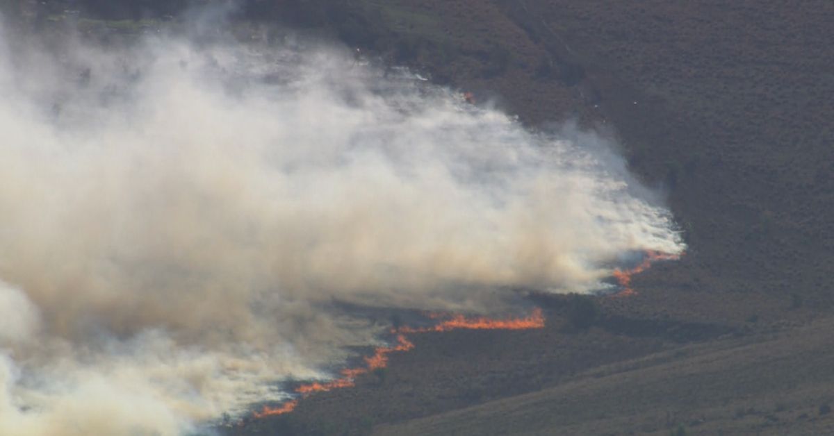 Bulla fire: Firefighters at the scene of grass fire near Melbourne Airport