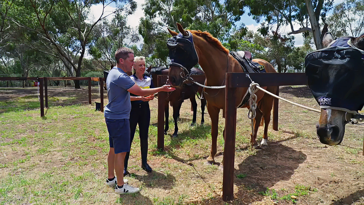 Watch Hello SA - Season 2025 - Ep 40 Jane Reilly Returns | 9Now