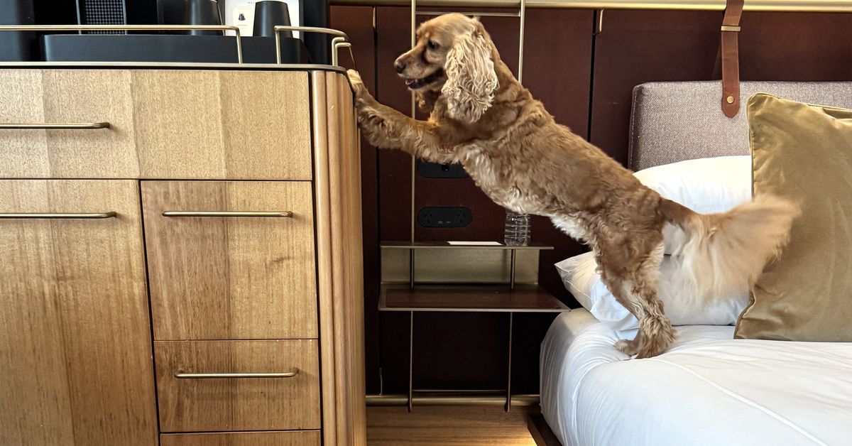Pier One Sydney Harbour offers free stay for dogs for King's Birthday ...