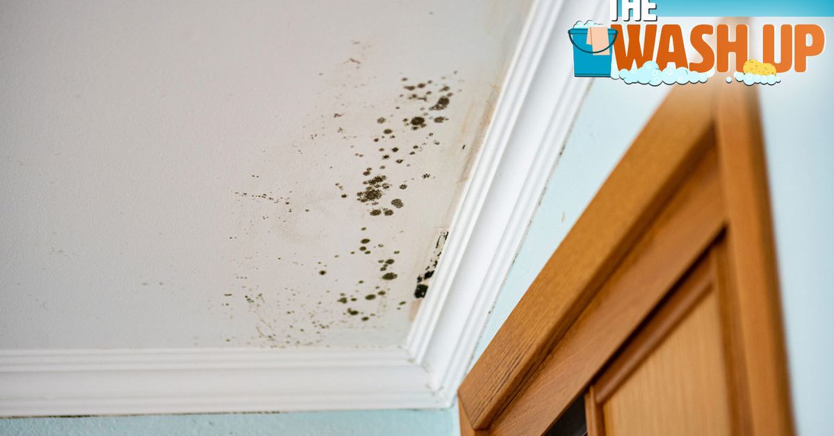 How to clean ceilings and walls: The easiest way to clean dust, dirt ...
