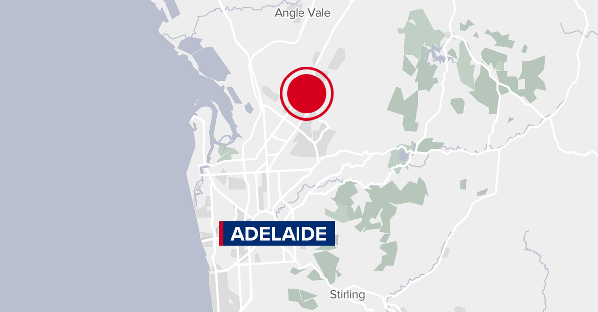 Elizabeth Vale: Man charged with attempted murder after woman was ...