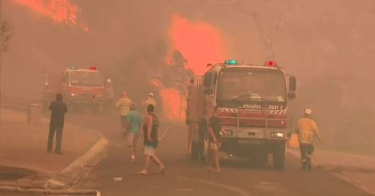 Coronavirus pandemic hampering Australia's bushfire recovery efforts