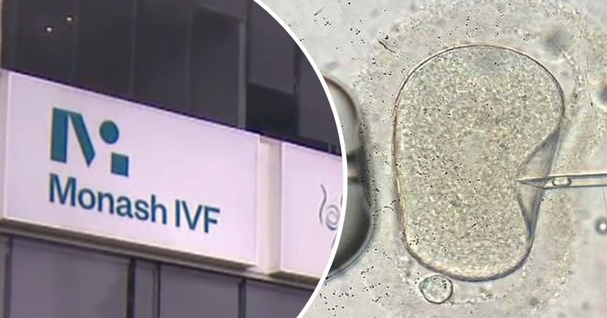 Fertility giant Monash IVF to keep independent review into two separate ...