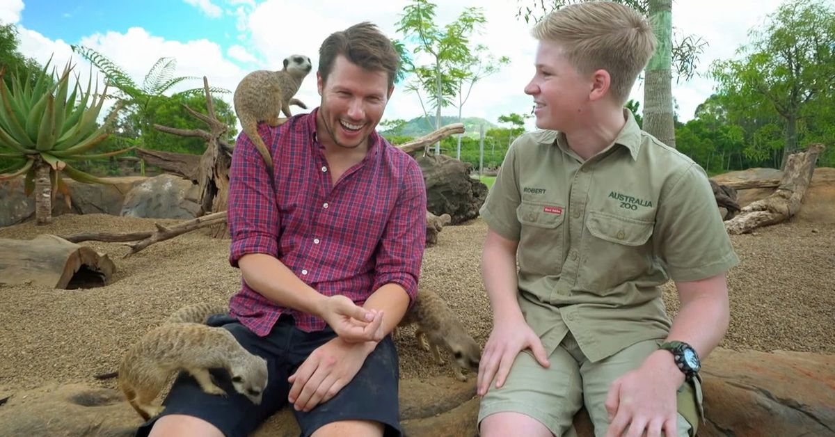 Learn about Aussie wildlife at Australia Zoo